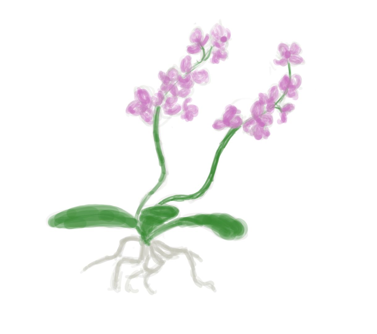 I Can t Draw A Flower